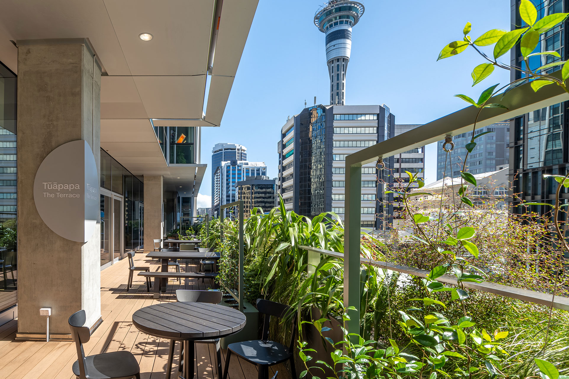 50 Albert Street, Auckland CBD - Mansons TCLM